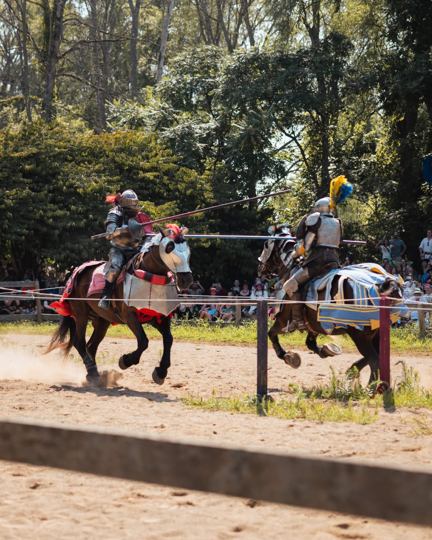 Sterling Renaissance Festival Guide | Finger Lakes NY